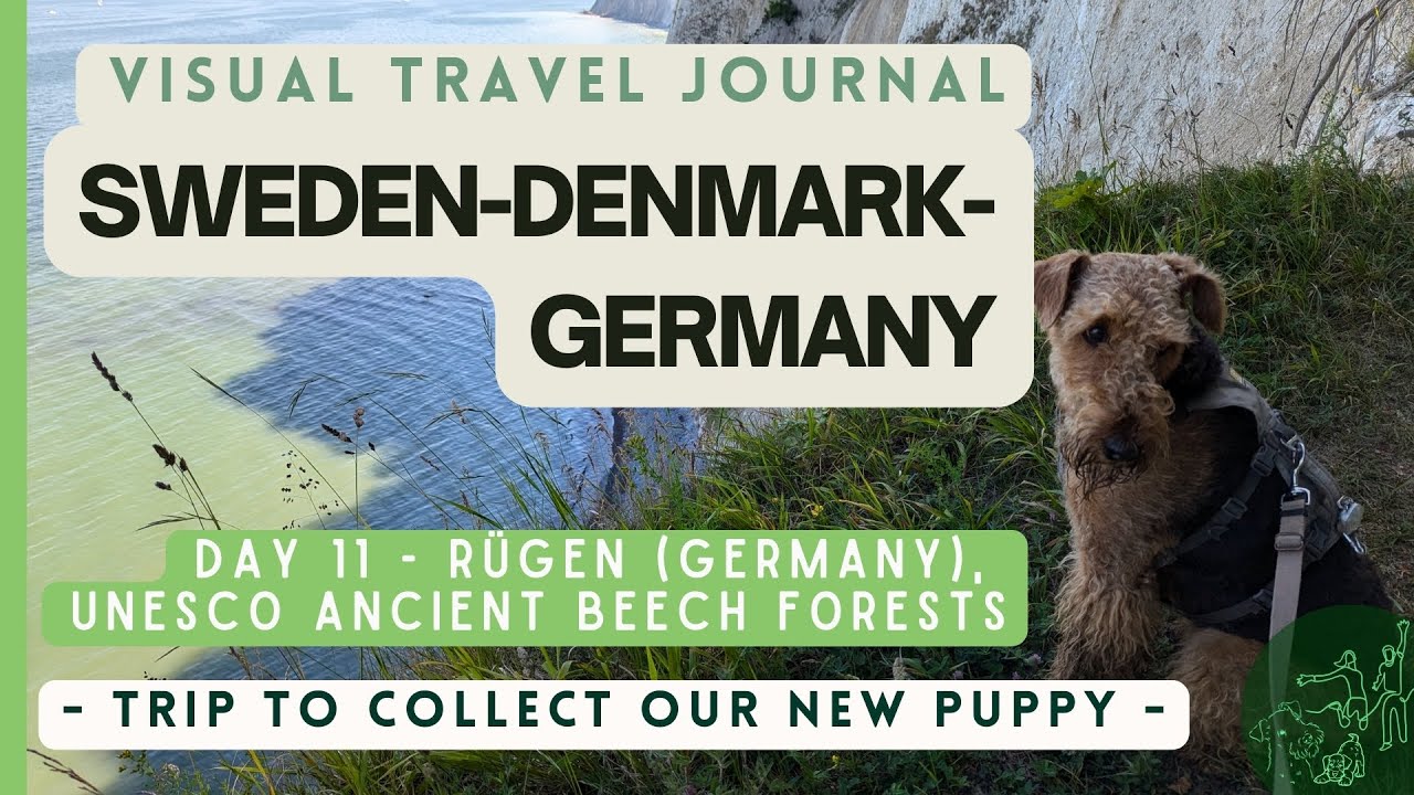 Day 11 | Visual Travel Journal: Rügen (Germany) UNESCO beech forest |13 ...