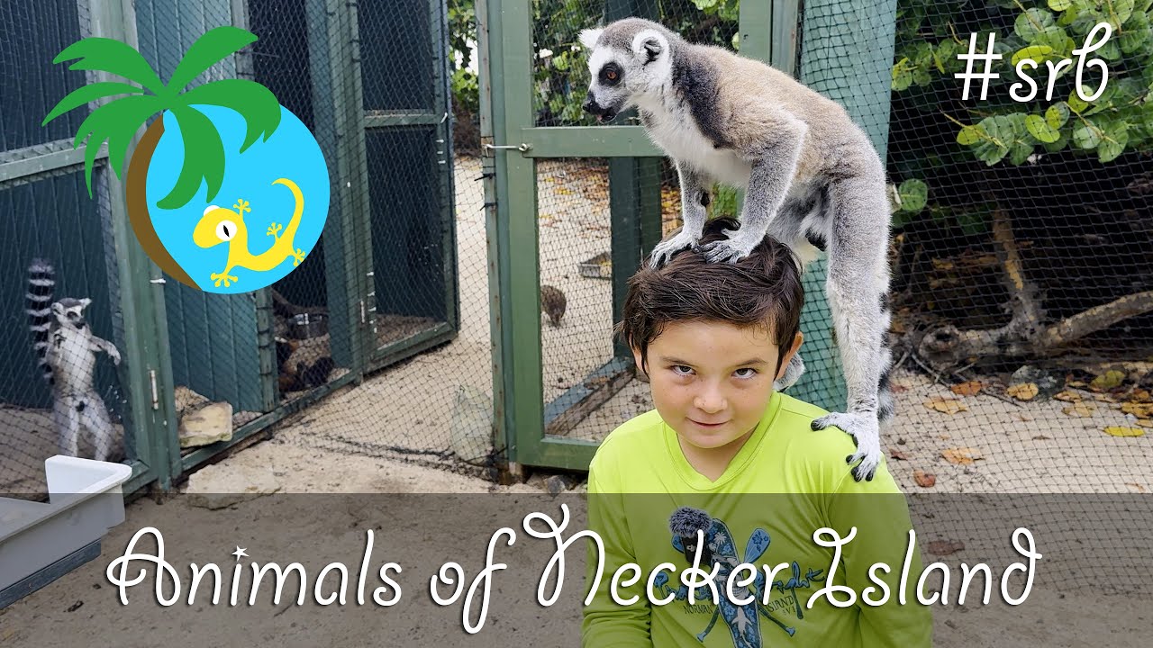 Animals of Necker Island - Sir Richard Branson's Private Island! Aerial ...