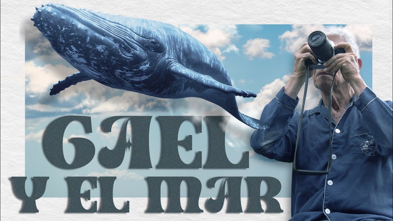 Gael y El Mar (2024) - tráiler - YouTube
