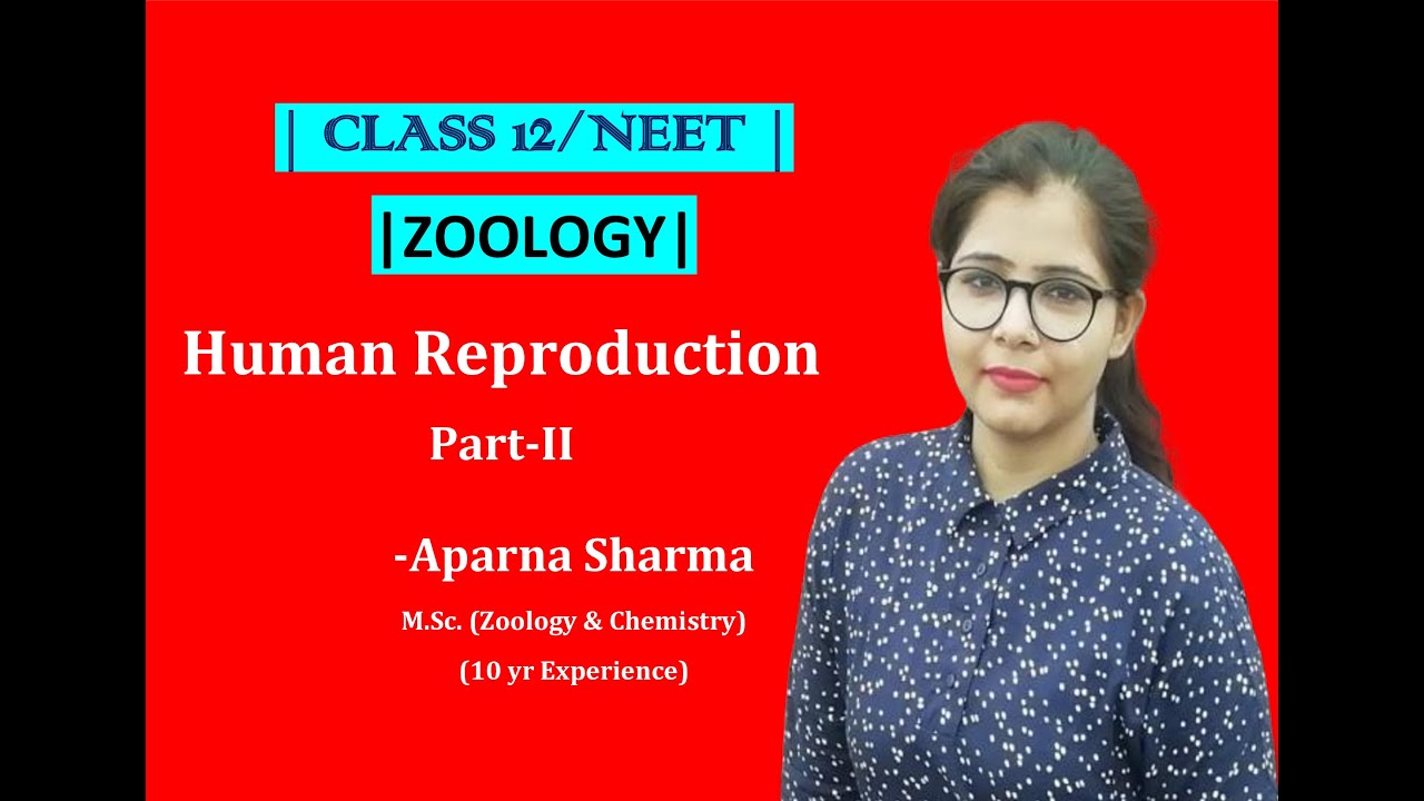Human Reproduction Class 12: Part -2 | Biology Mind Maps For NEET 2020 ...