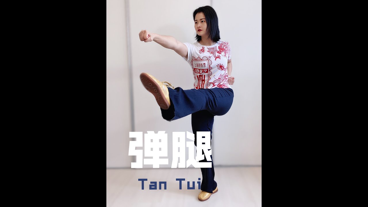 Wushu Kung Fu en Casa Día 170 Patadas con Flexión 屈伸性腿法 Basic Flex Kicks - YouTube