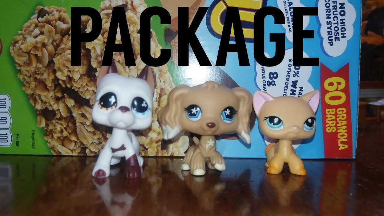 LPS PACKAGE 🍒🍬🍫🍭😊😊😊 - YouTube