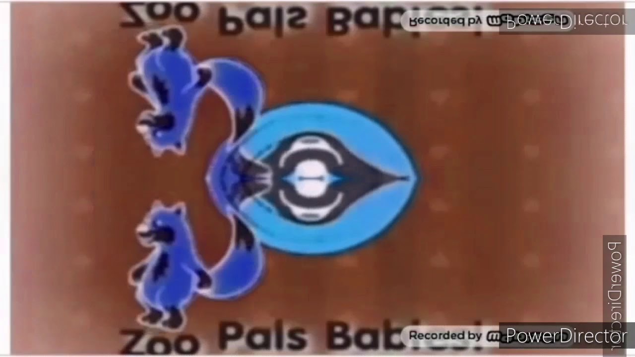 Zoopals babies in o major - YouTube