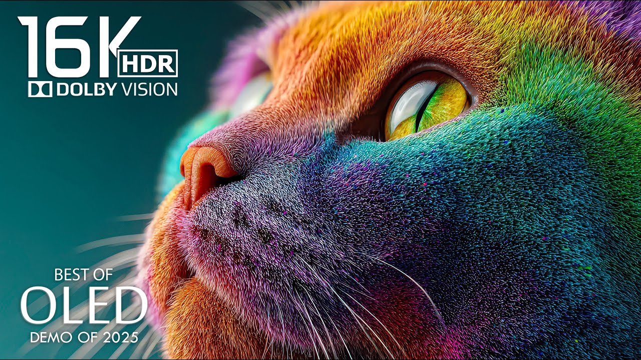 OLED Dolby Vision Demo - 16K HDR 120 FPS (16K Video ULTRA HD) - YouTube