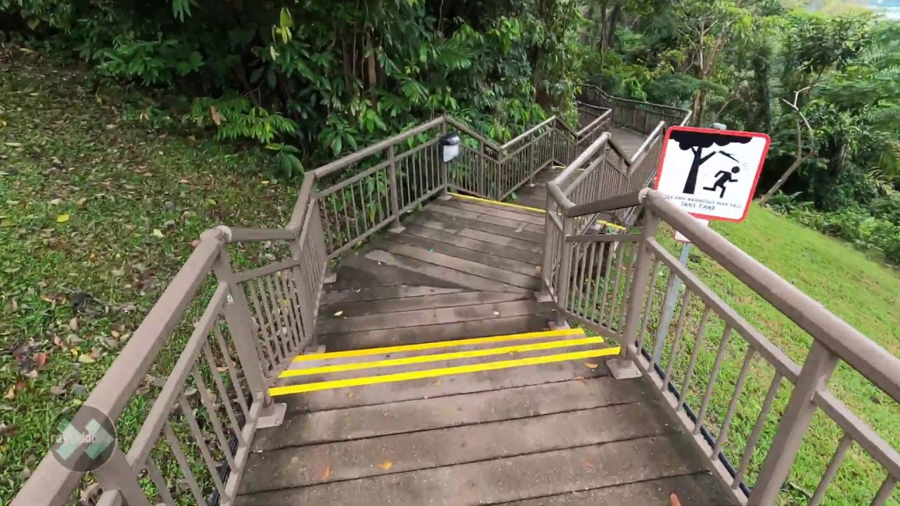 Marang Trail descent [4K] - YouTube