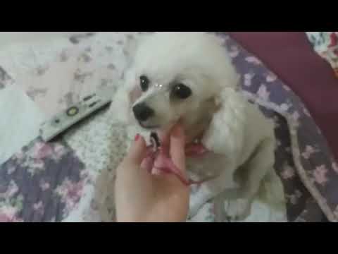 Caminhoneira Aline Füchter Ouriques mostra resultados da Lipoaspiração