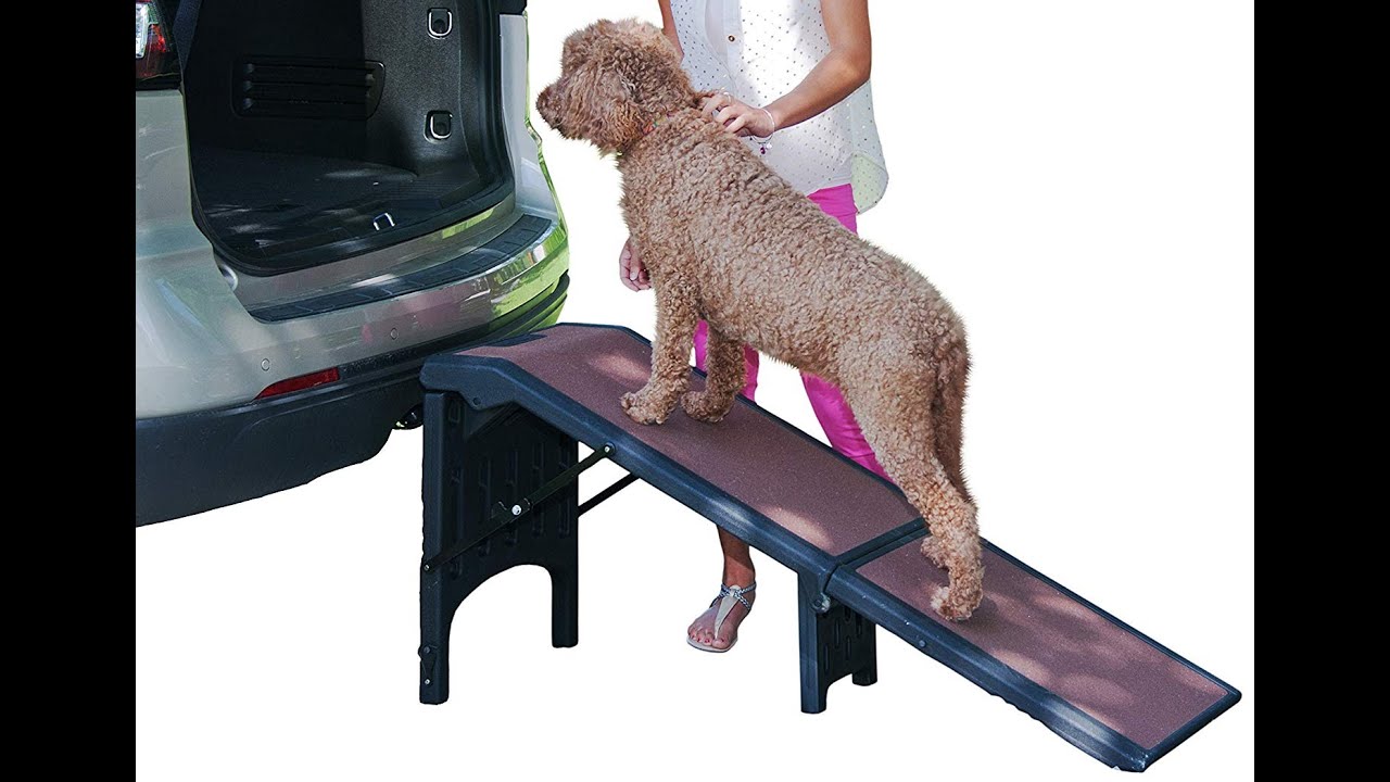 Solvit Dog Ramp,Pet Gear Free Standing Ramp for Cats and Dogs - YouTube