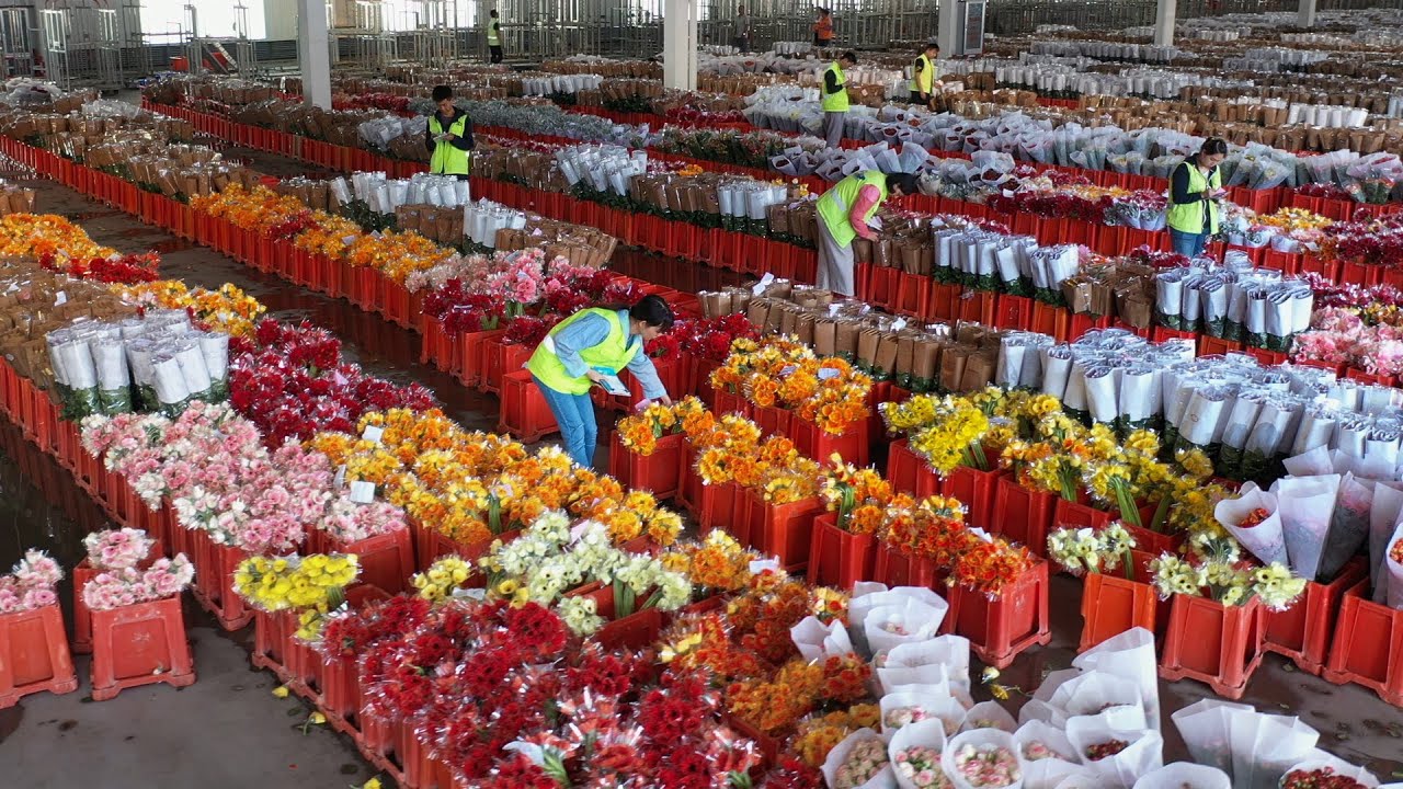 Aerial China: Massive flower auction - YouTube