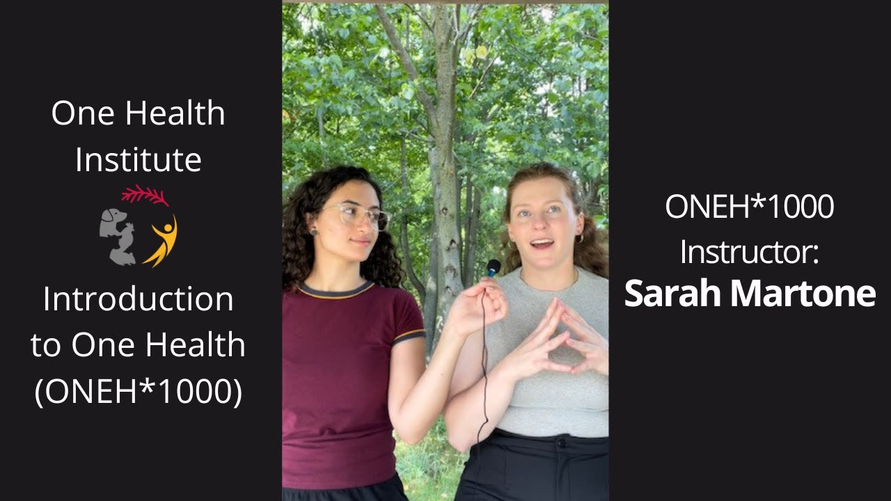 Introduction to One Health (ONEH*1000) - Sarah Martone - YouTube