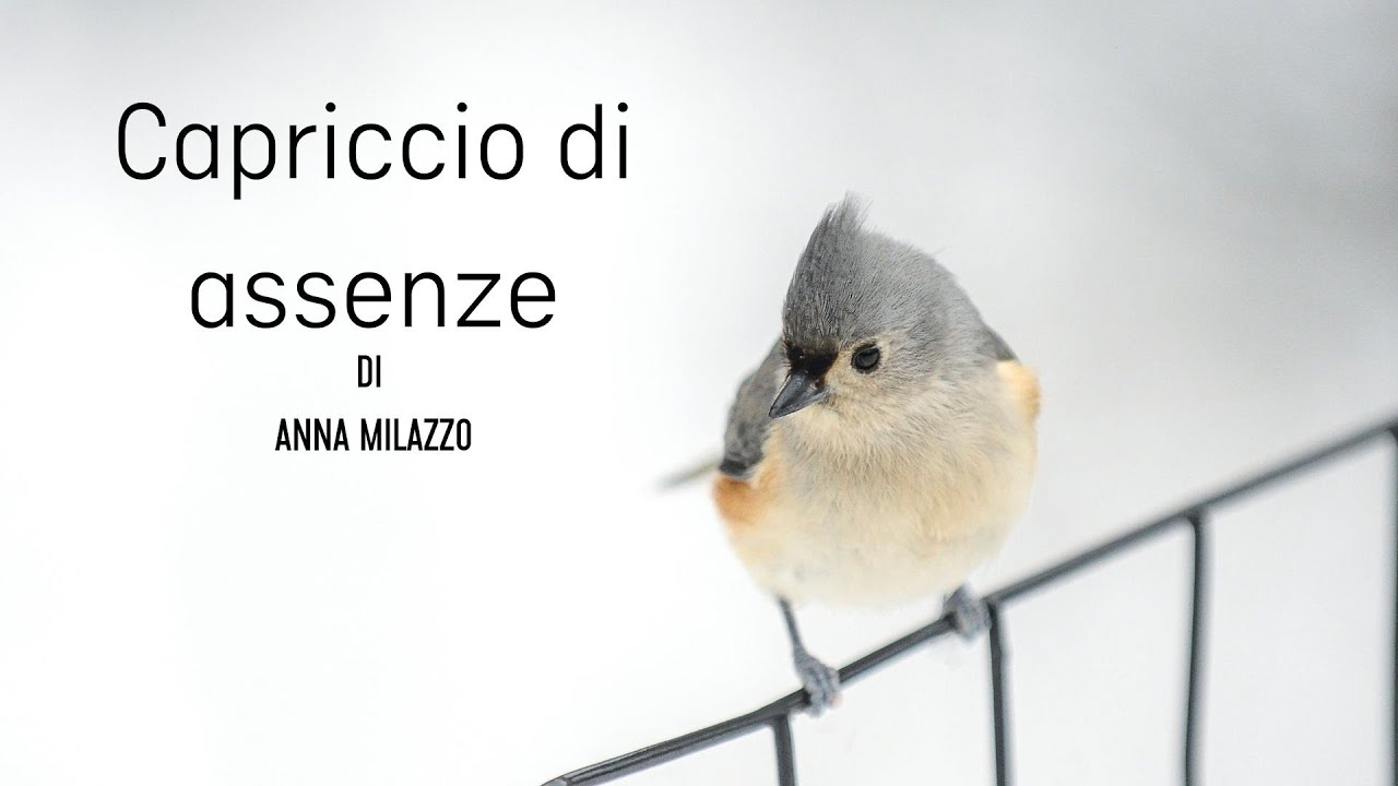 Capriccio di assenze di ANNA MILAZZO @ArteconLucia - YouTube