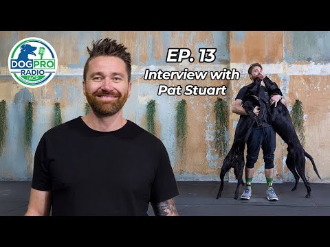 Dog Pro Radio: Episode 13 Pat Stuart - YouTube