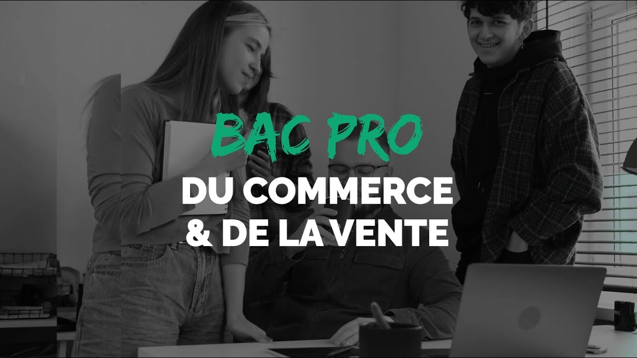 BAC Professionnel Métiers du Commerce et de la Vente, en alternance ...