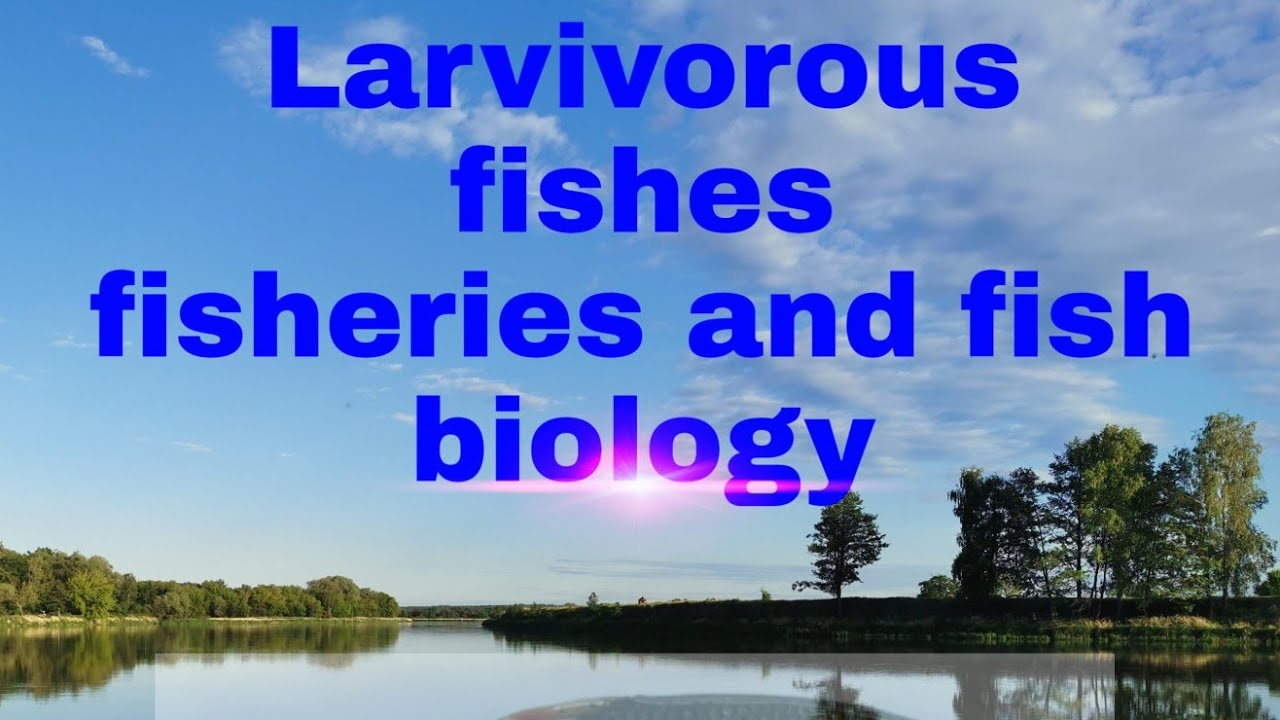 Larvivorous fishes - YouTube