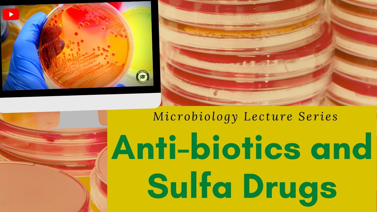 Anti-biotics and Sulfa Drugs | MicroBiology Lecture Series - YouTube