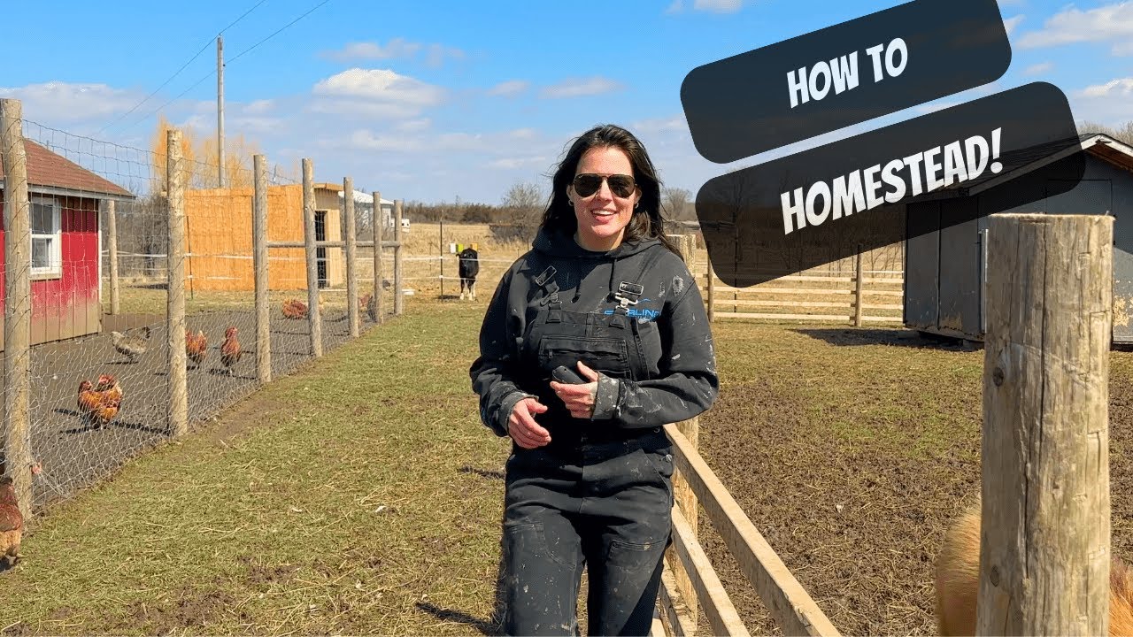 How To Homestead! - YouTube