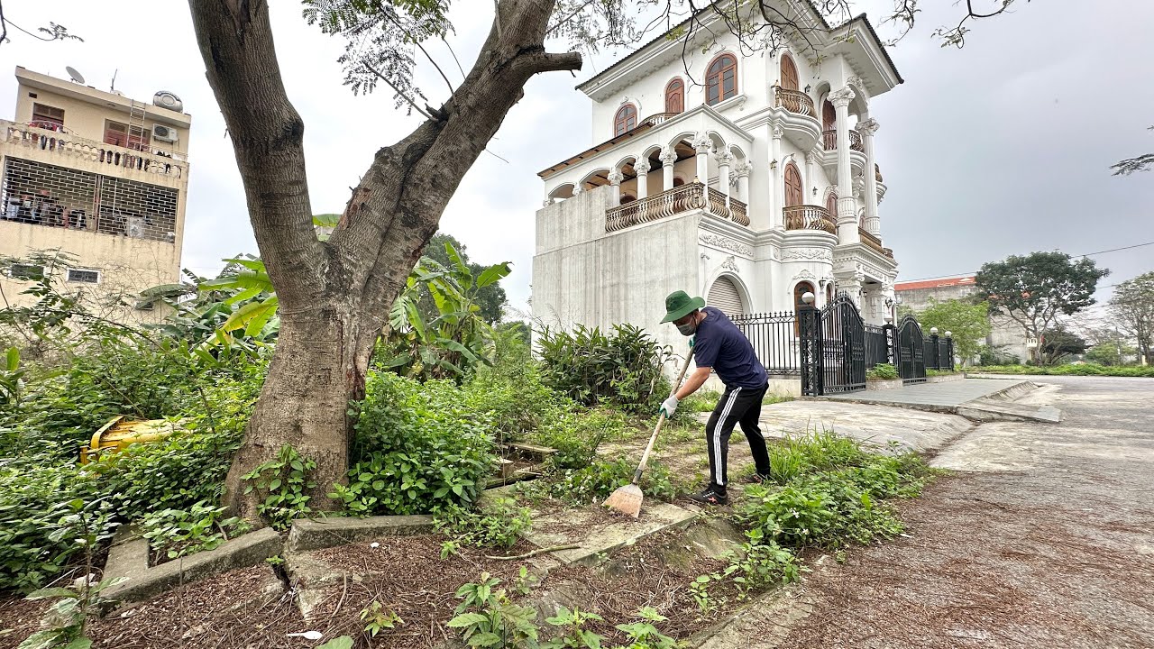 Inspire Clean house 1M$ footpath full of grass and trash cut the ...