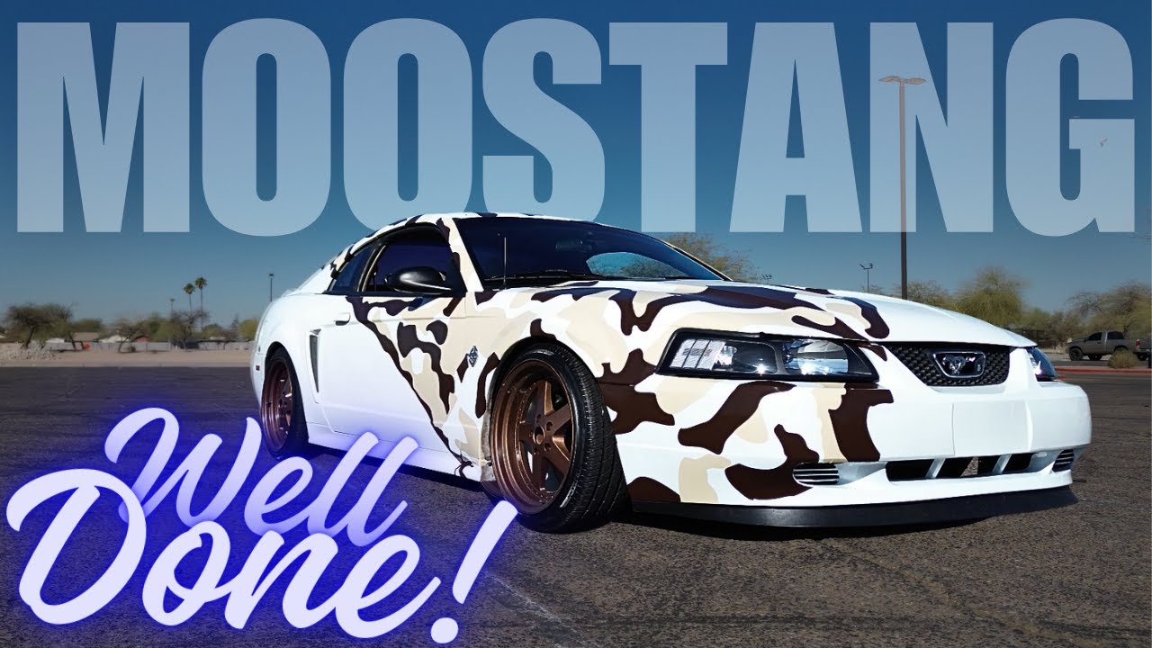 MOOstang Well Done! - YouTube