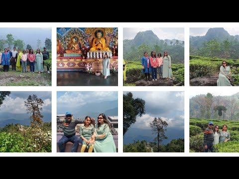 Beauty Of Ambiok|Ambiok Tea Garden|Paparkheti|Lava|Lava Monastery|Rishi ...