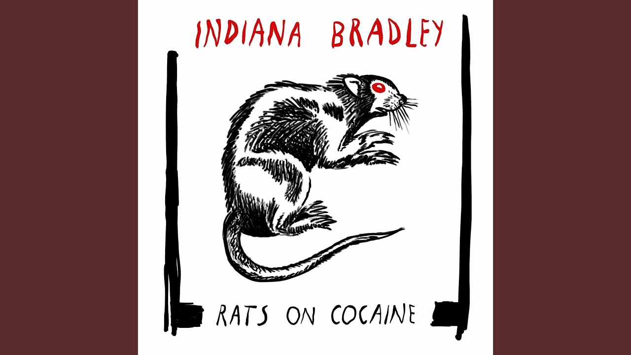 Rats on Cocaine - YouTube