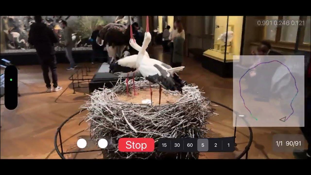 Sparse Voxels Rasterizer - YouTube