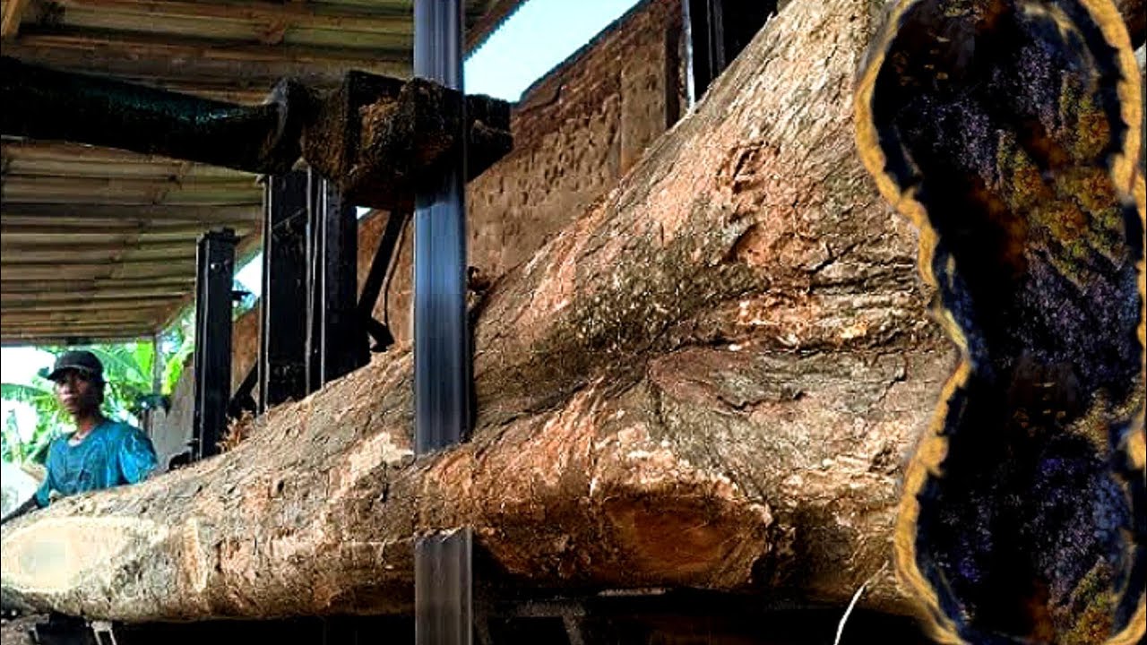 Incredible long teak Wood Cutting Skill || indian teak wood ...