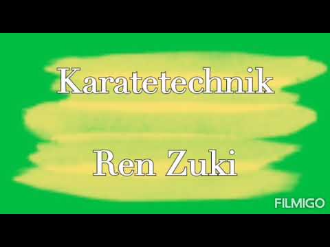 KARATEtechnik Ren Zuki - YouTube