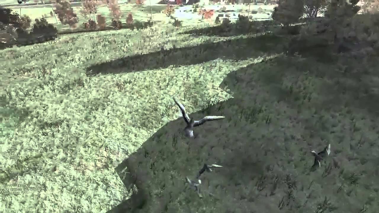 DayZ Bird Squad ASSEMBLE!! - YouTube