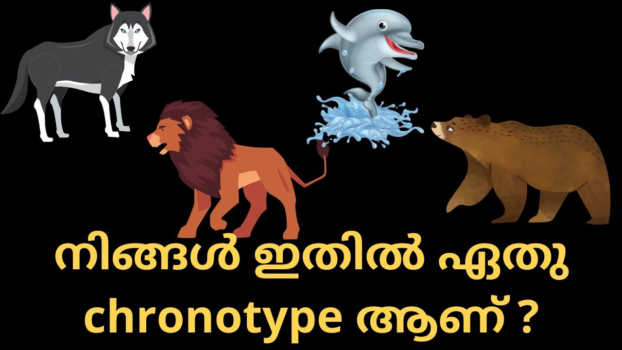 Know Your Chronotype | Chronotype & Natural Body Clock | Be More ...