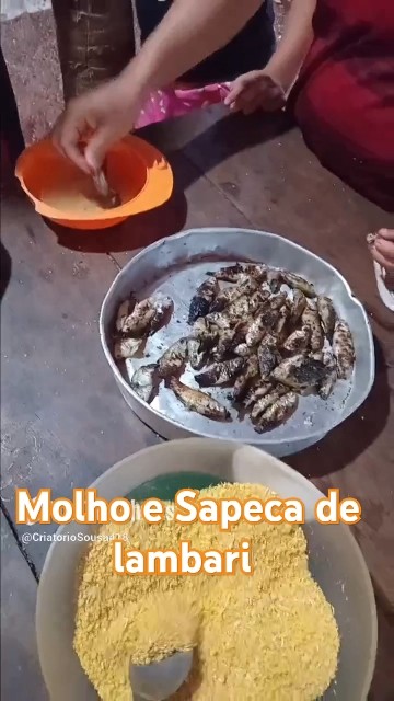 Conheça o Famoso sapeca #alegria #nordeste #fly @CriatorioSousa418 ...