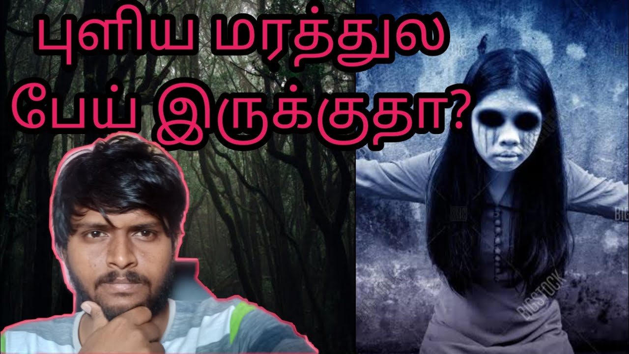 Ghost in tamarind tree? ||புளிய மரத்தில பேய் இருக்குதா? - YouTube