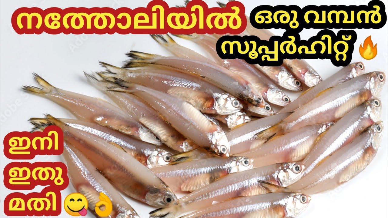 💯നത്തോലി കൊണ്ട് പുത്തൻ രുചിയിൽ ഒരു VARIETY ഐറ്റം/Natholi recipe/Natholi ...