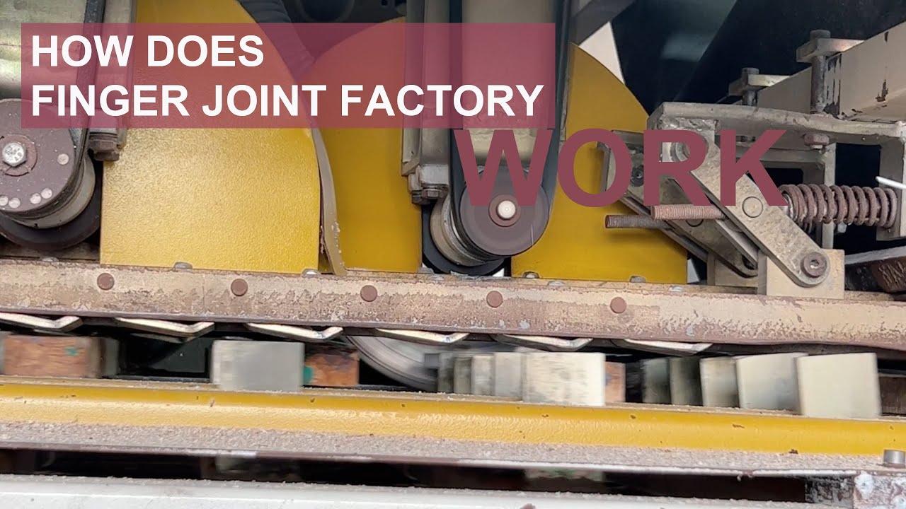 How Does Finger Joint Factory Work YouTube How Does Finger Joint Factory Work YouTube