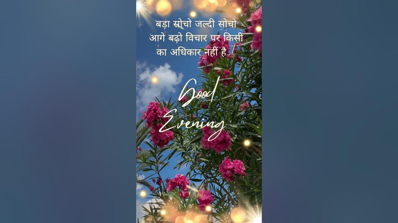 Good evening l Shubh Sandhya l Ek ladki ko dekha #goodevening #viralwhatsappstatus # ...