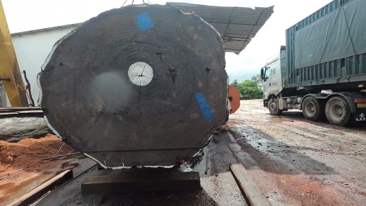 The "FASTEST WAY to CUT LARGE WOOD" at a Large Wood Sawmill, Wood ...