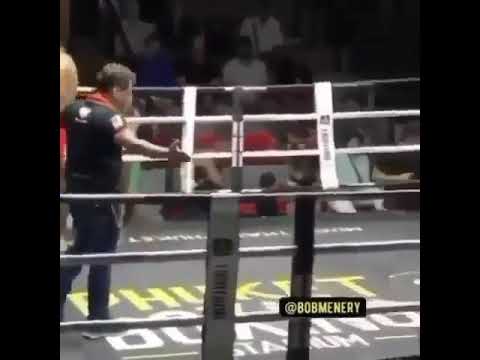 Boxing referee funny - YouTube