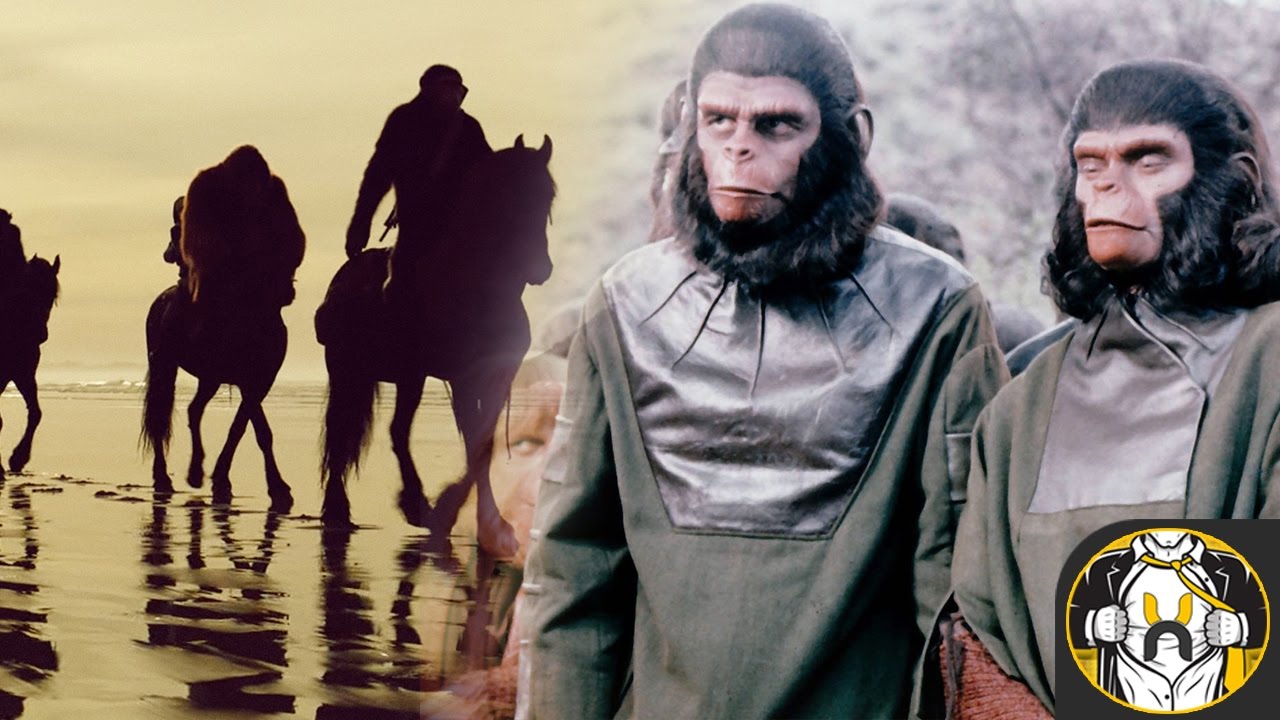 When will Apes Integrate Human Technology? - YouTube