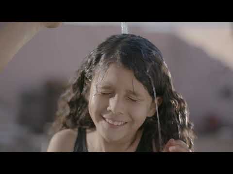 LOS POLLITOS Short Film