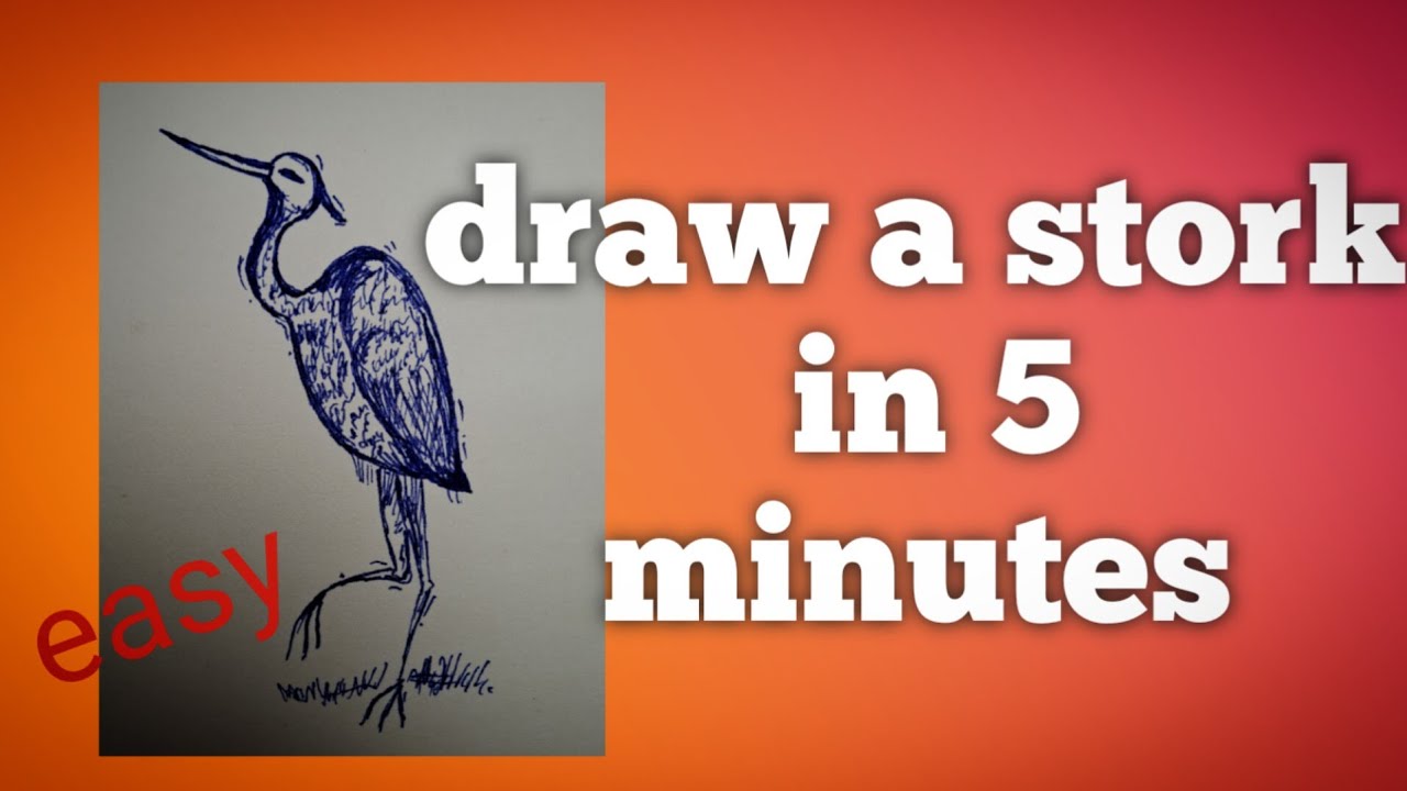 how to draw a stork for beginners,very easy and fast - YouTube