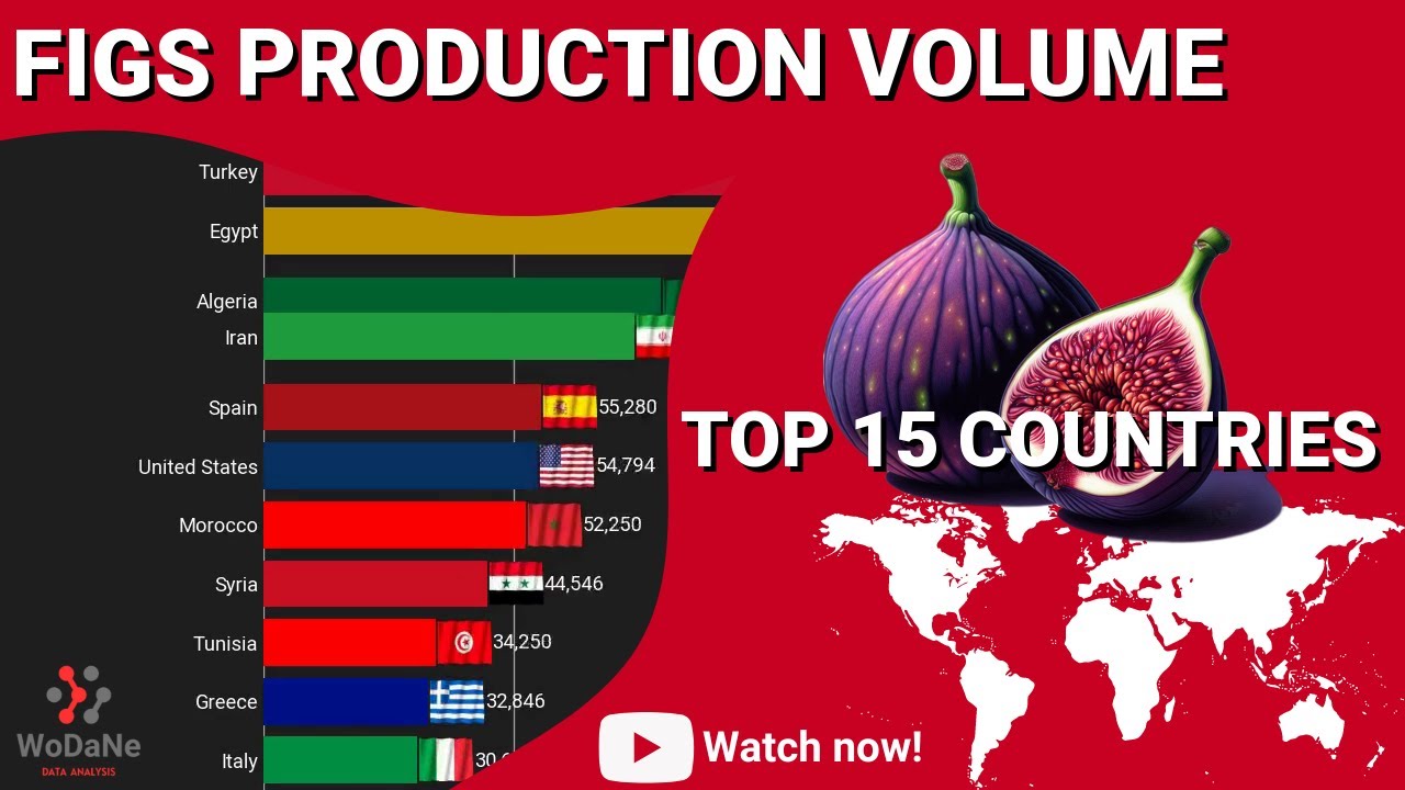 TOP 15 countries by Figs Production Volume - YouTube