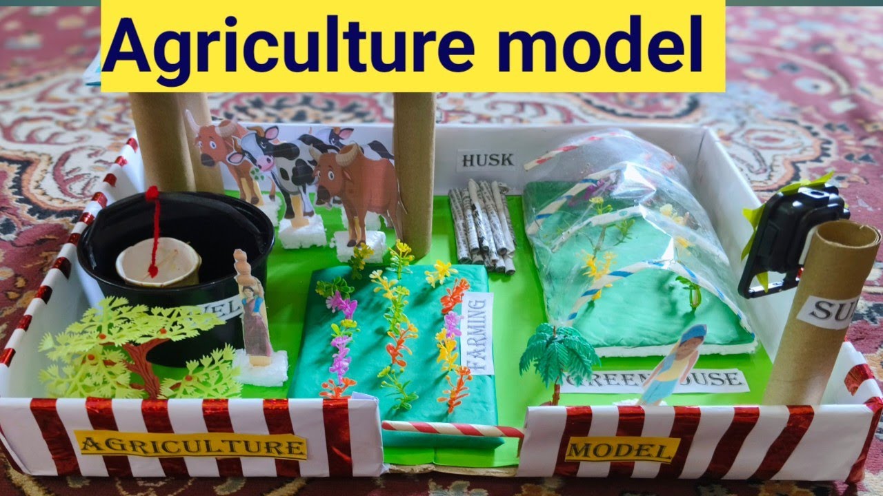 DIY Agriculture Model for School Projects | Easy Step-by-Step Guide# ...