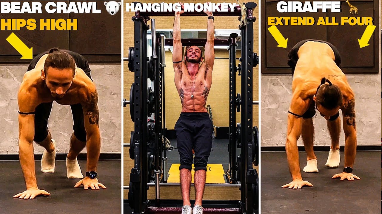 Mastering Animal Movement: Exploring the Most GOATED Patterns - YouTube