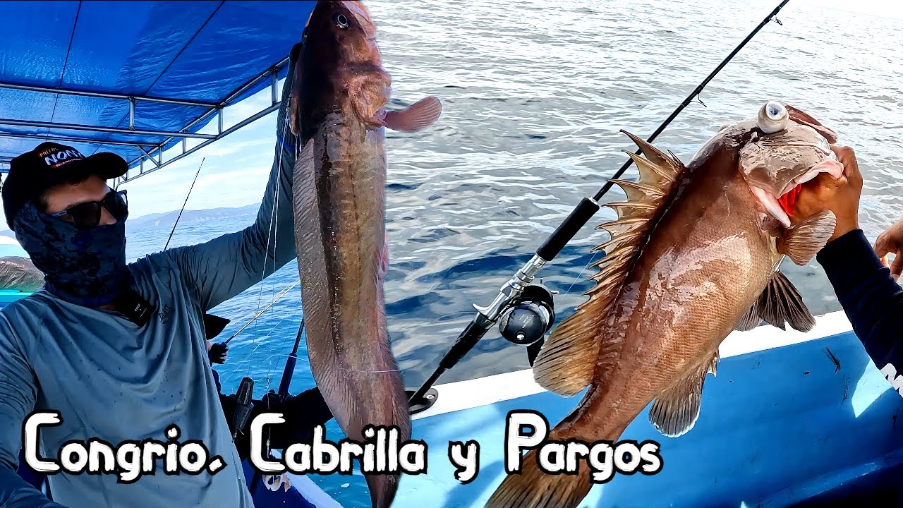 Pesca de Congrio, Pargos y Cabrilla Costa Rica - YouTube