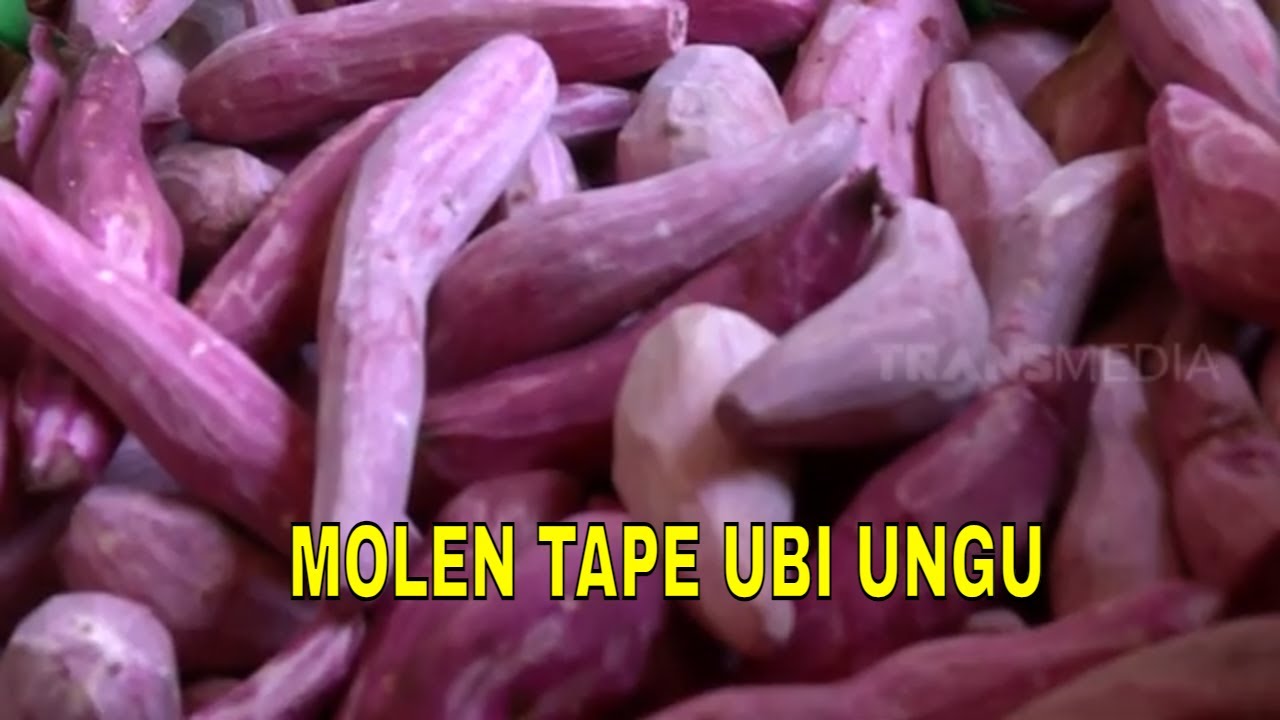 MOLEN TAPE UBI UNGU | JEJAK SI GUNDUL (17/09/22) - YouTube