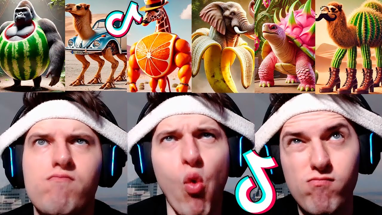 SIGMA FACE Brainrot Memes 🤣 TikTok Compilation (Anatoxich) - YouTube