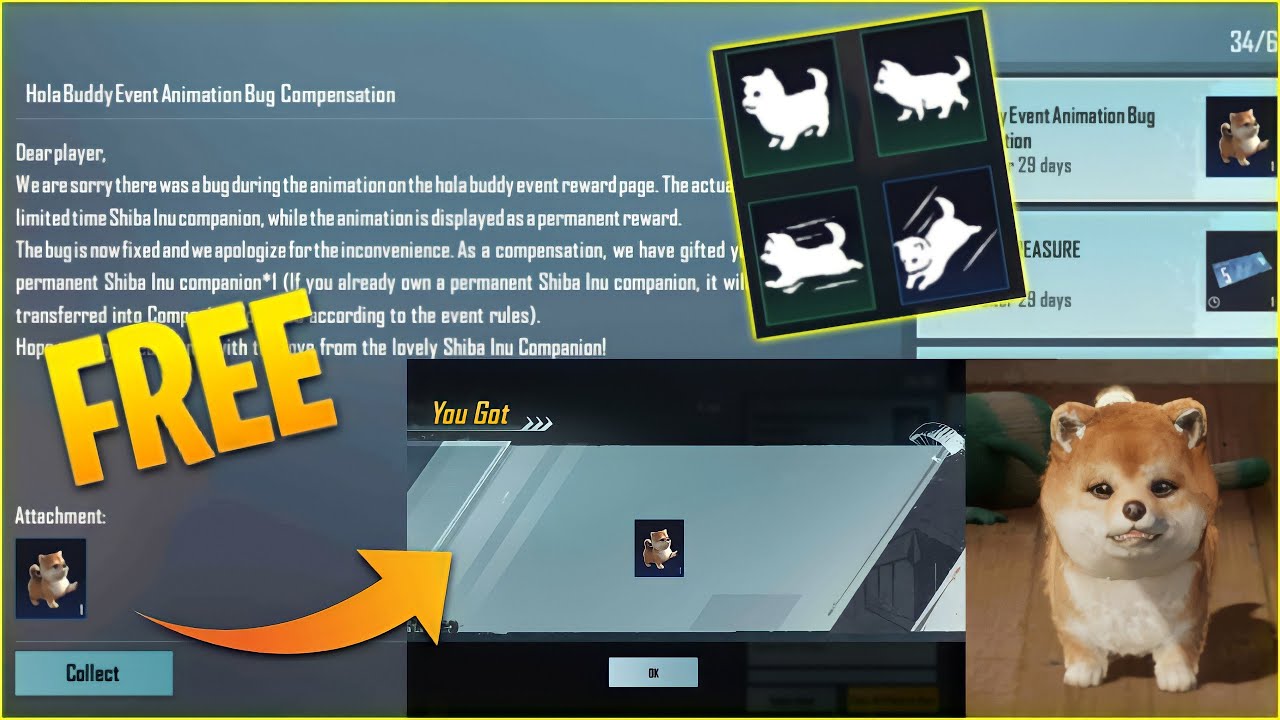 OMG 😱 FREE SHIBA INU DOG COMPANION || PUBG MOBILE GIFTED ME FREE ...