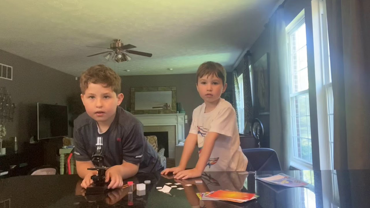 Mystery Box - Microscope Lab - YouTube