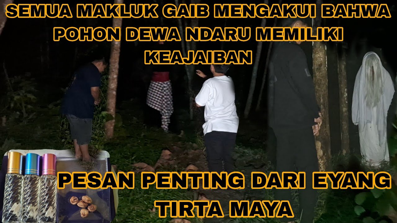 BUKTI KE AJAIBAN POHON DEWA NDARU - YouTube