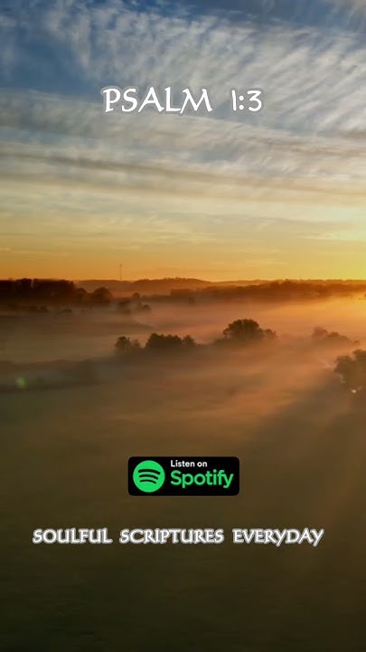 Soulful Scriptures Everyday | Rooted in Faith ( Psalm ( 1:3 ) - YouTube