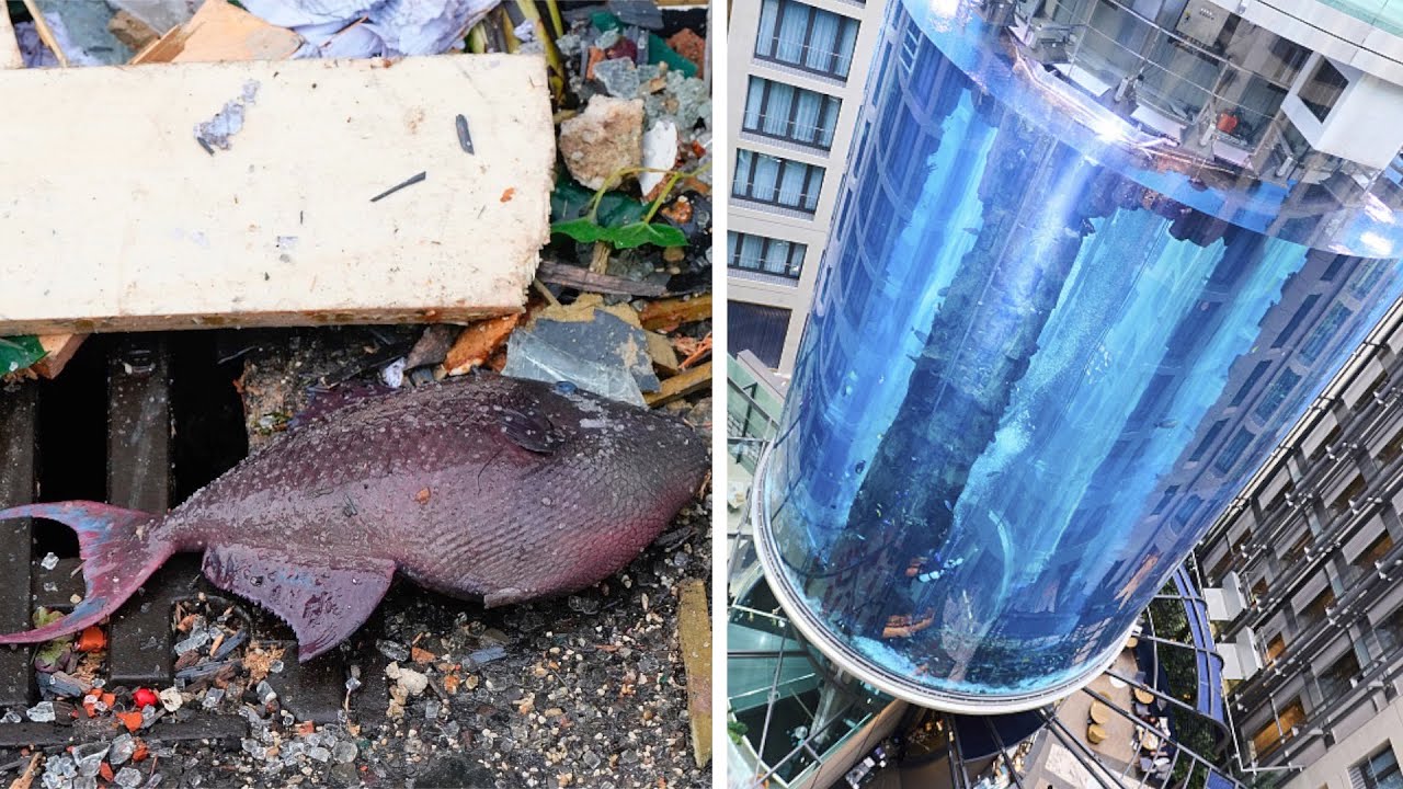Two injured as world's largest cylindrical aquarium bursts at Berlin ...