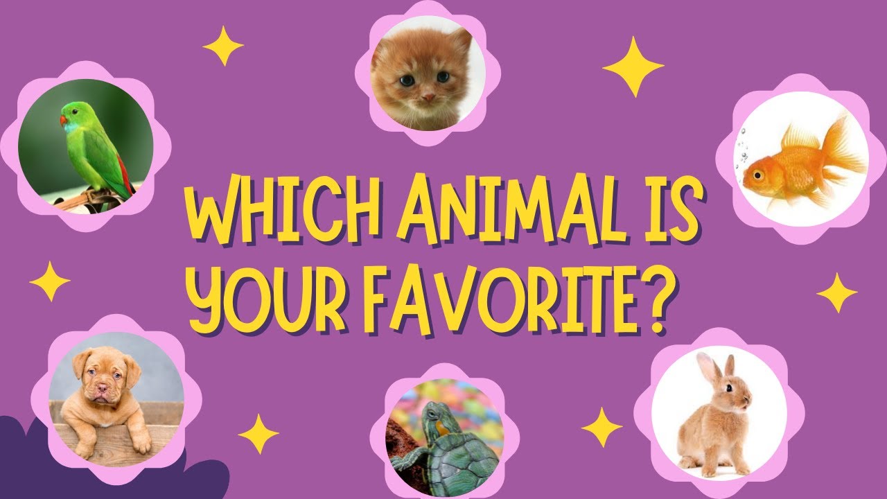 which-animal-is-your-favorite-youtube